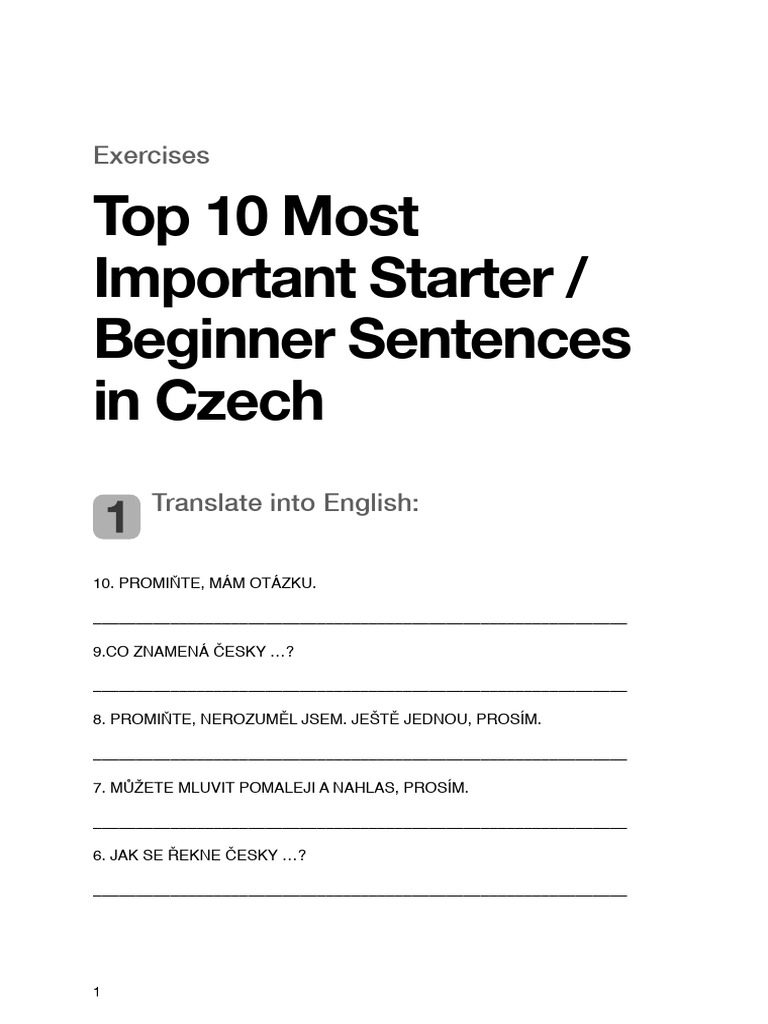 Top 10 CZECH Beginner Sentences | PDF