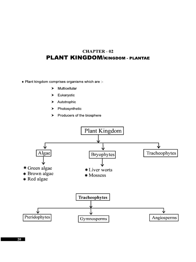 Plant Kingdom (Lecture Note) | PDF