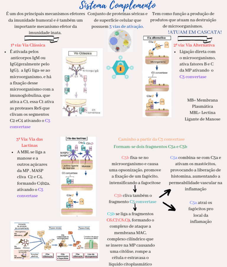 Sistema Complemento | PDF | Sistema complementar | Sistema imunológico