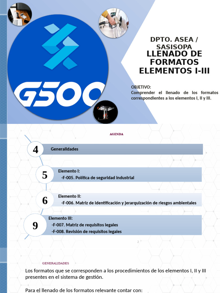 Formatos Elementos I, II y III | PDF