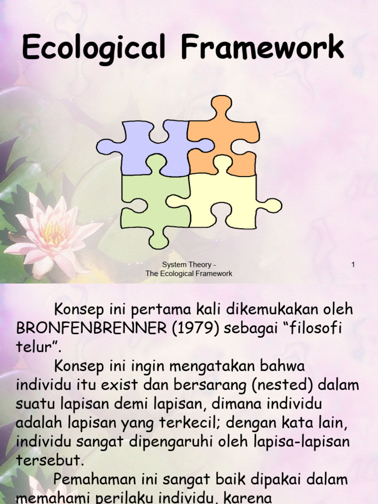 2b Ecological Framework Dan Core Values | PDF