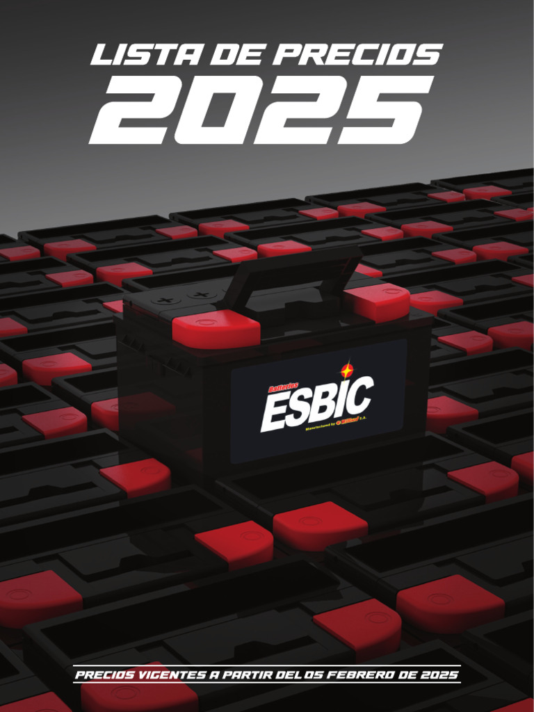 LISTA DE PRECIOS ESBIC-S2025 | PDF