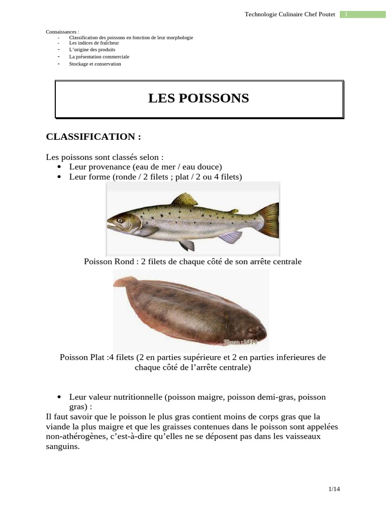 Classification et conservation des poissons | PDF | Chalutier ...