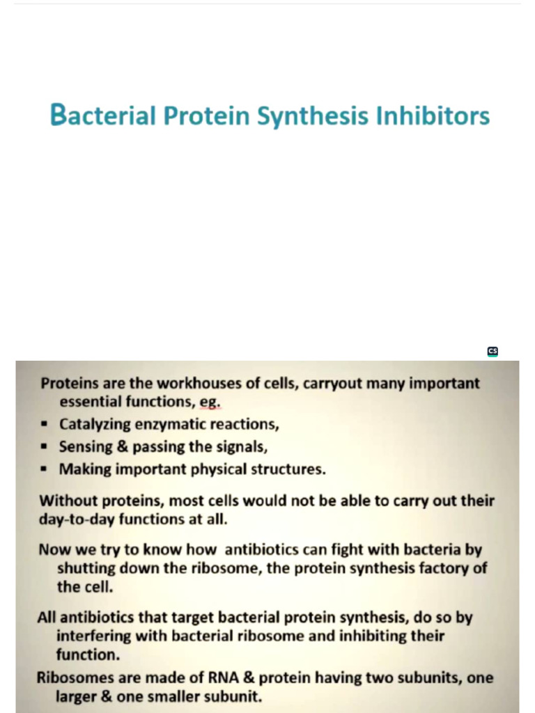 Protein Synthesis Inhibitor | PDF