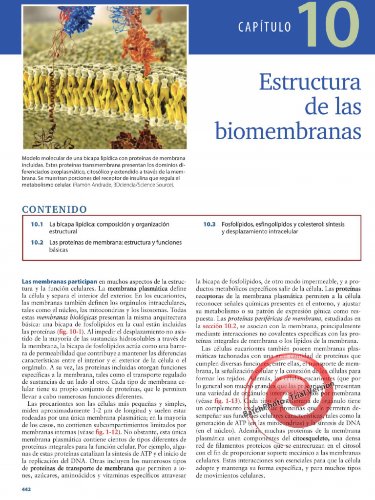 Lodish 9a Ed-485-4 | PDF