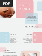 Carnet Perinatal para Embarazadas 2024 | PDF | Embarazo Mamífero | Medicina