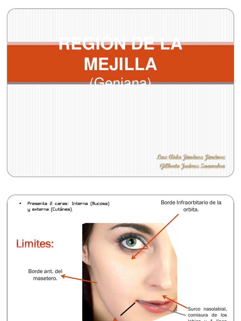 Anatomía de la región de la mejilla | PDF | Ciencia y matemáticas