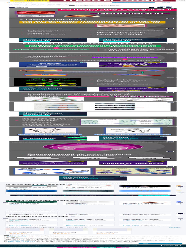 Neurulacion Embriologia | PDF | Anatomía | Biología del desarrollo