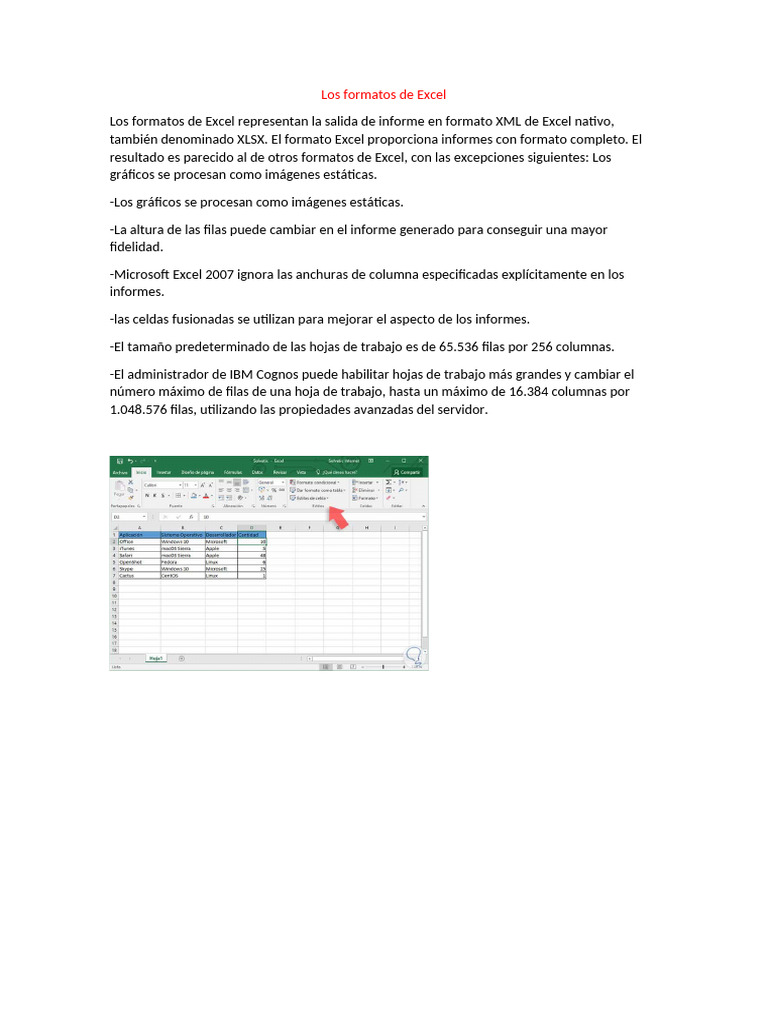 Los formatos de Excel representan la salida de informe en formato XML de Excel nativo | PDF