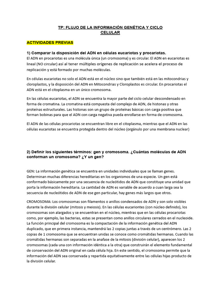 Flujo Genético y Ciclo Celular Eucariota | PDF | Adn | Mitosis