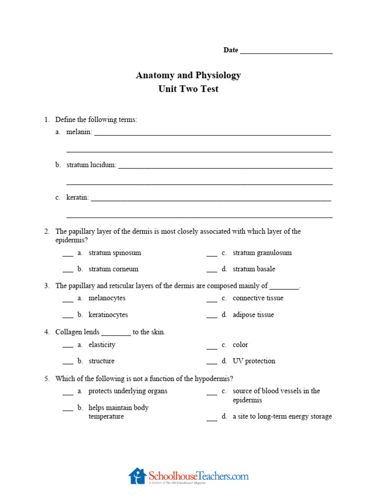 Anatomy and Physiology Unit Test Guide | PDF | Vertebra | Anatomical ...