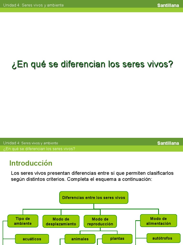 Presentación Seres Vivos | PDF | Organismos | Plantas