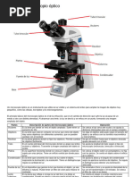 Partes Del Microscipio | PDF | Lente de la cámara | Microscopio