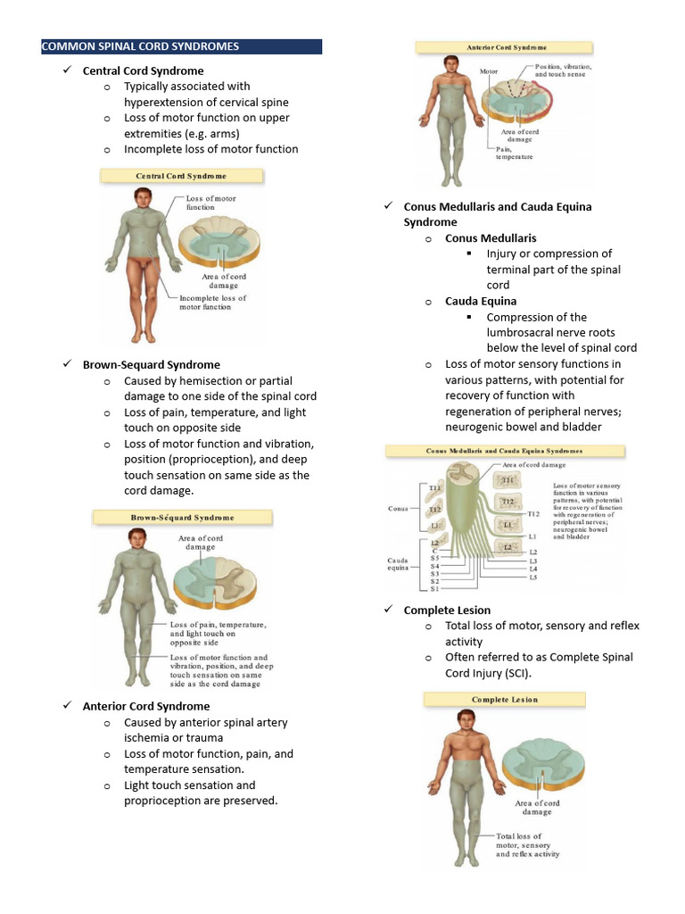 Overview of Spinal Cord Syndromes | PDF