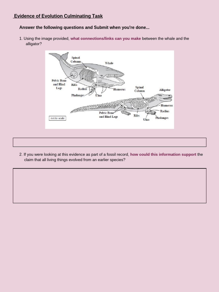 _Evidence of Evolution Culminating Task | PDF