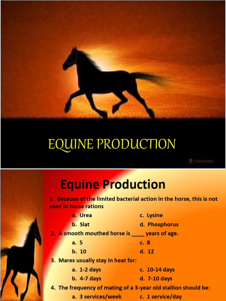 Complete Reviewer in Equine Production | PDF | Horse Gait | Cereals