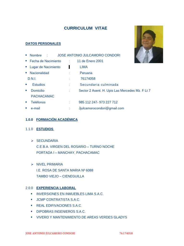 CV Antonio | PDF