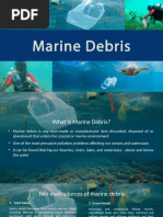 Coastal Clean Up Form | PDF | Nature