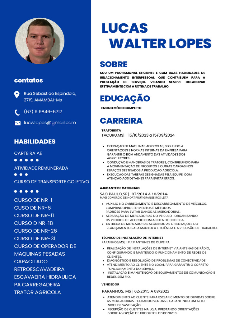 Curriculum Vitae Lucas | PDF | Internet