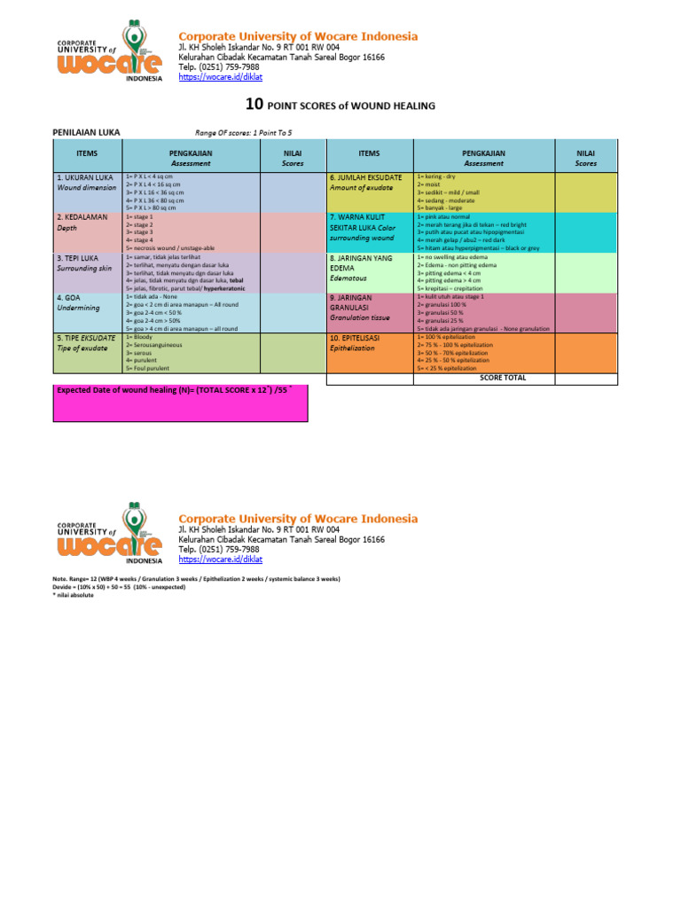 PENILAIAN LUKA - WInners Scale | PDF | Physiology | Injury