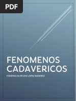 Fase Cromatica, Enfisematosa, Licuefactiva, Esqueletización y ...
