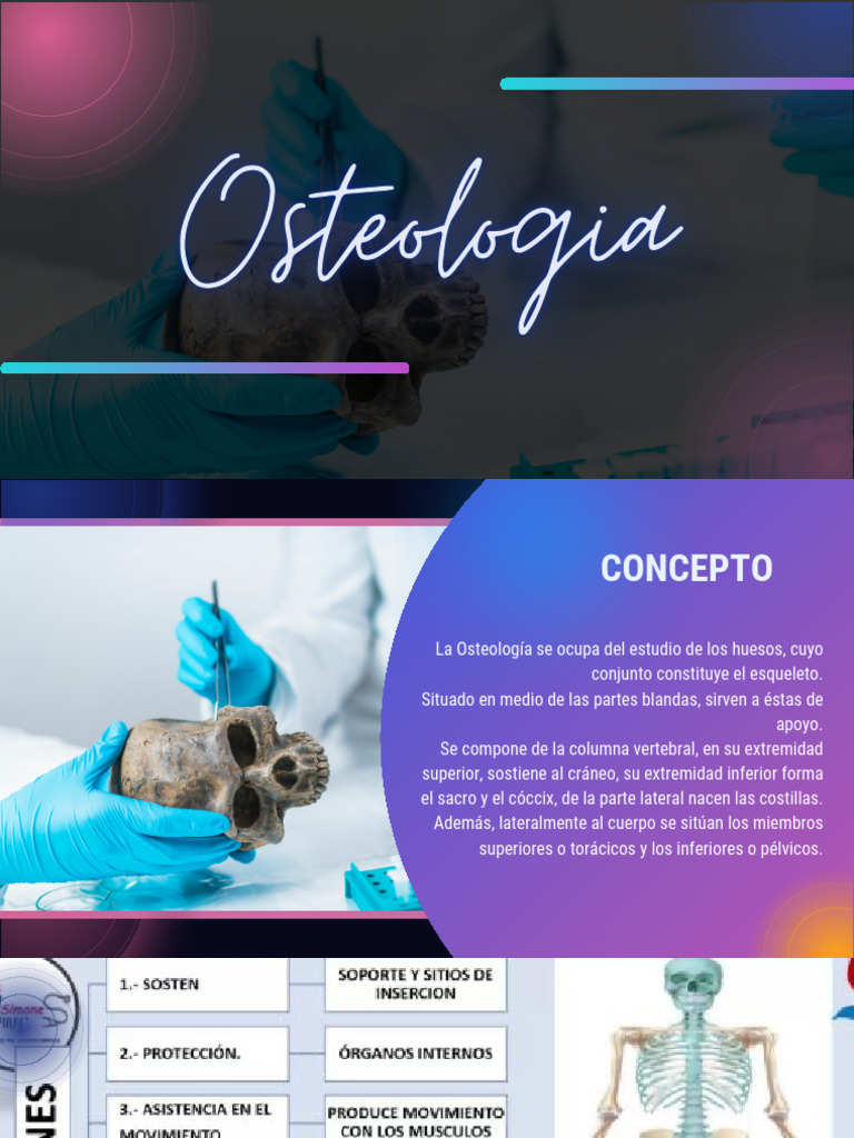 Introducción a la Osteología | PDF | Hueso | Cráneo