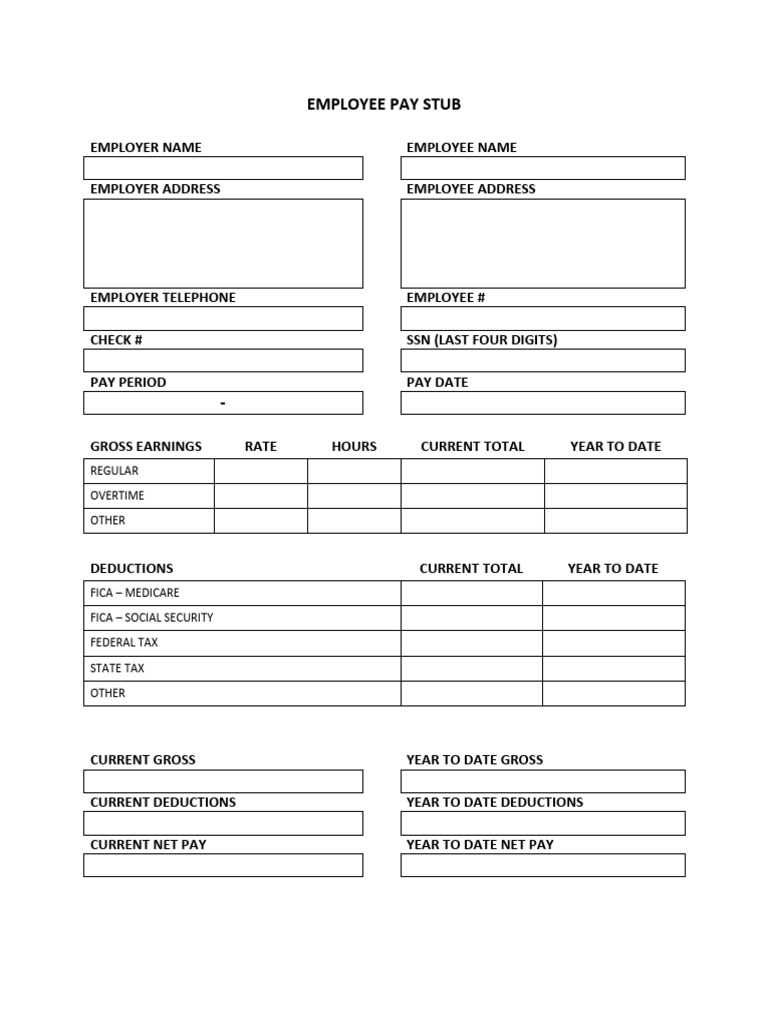 Employee Pay Stub Breakdown | PDF