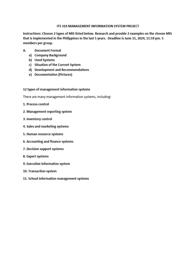 Its 310 Management Information System Project | PDF