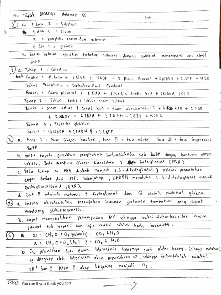 Tugas BIOLOGI Halaman 65 Muh. Rafly Akbar Al-Azis | PDF