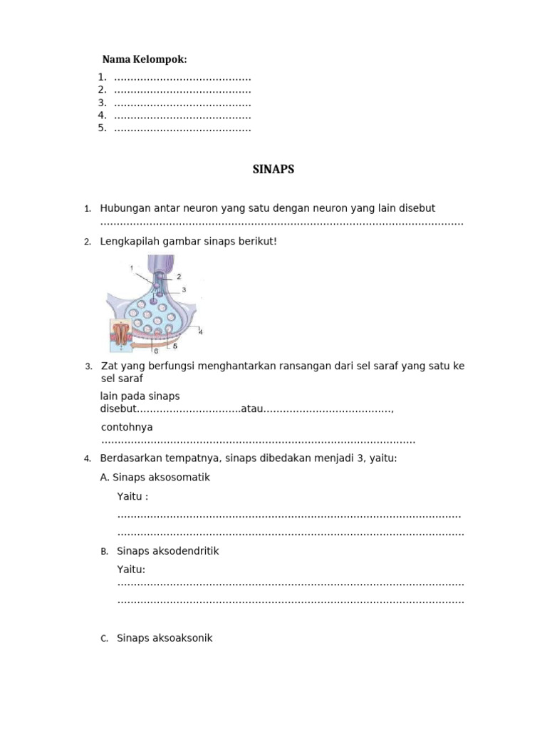 Sinaps, Simpul Saraf, Dan Terjadinya Gerak | PDF