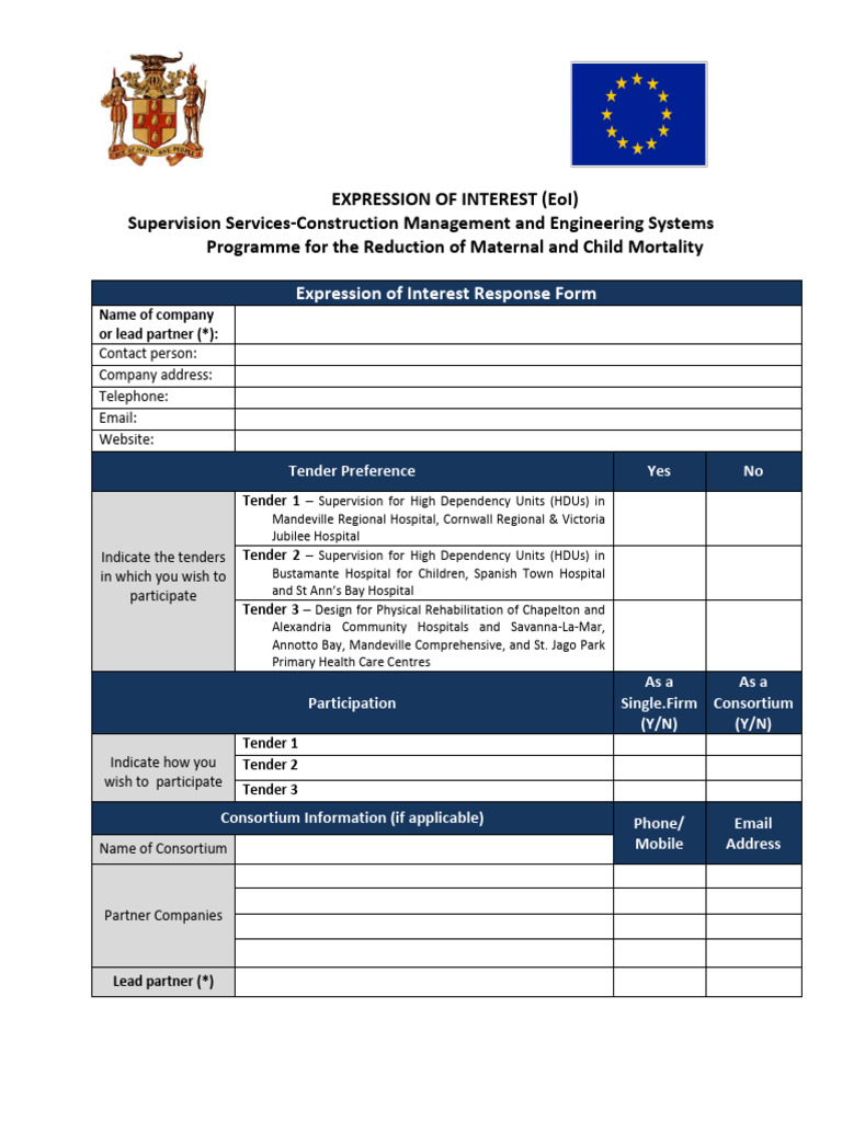 EoI for Construction Supervision Services | PDF