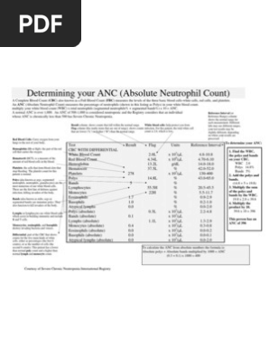 Anc Absolute Neutrophil Count Calculator