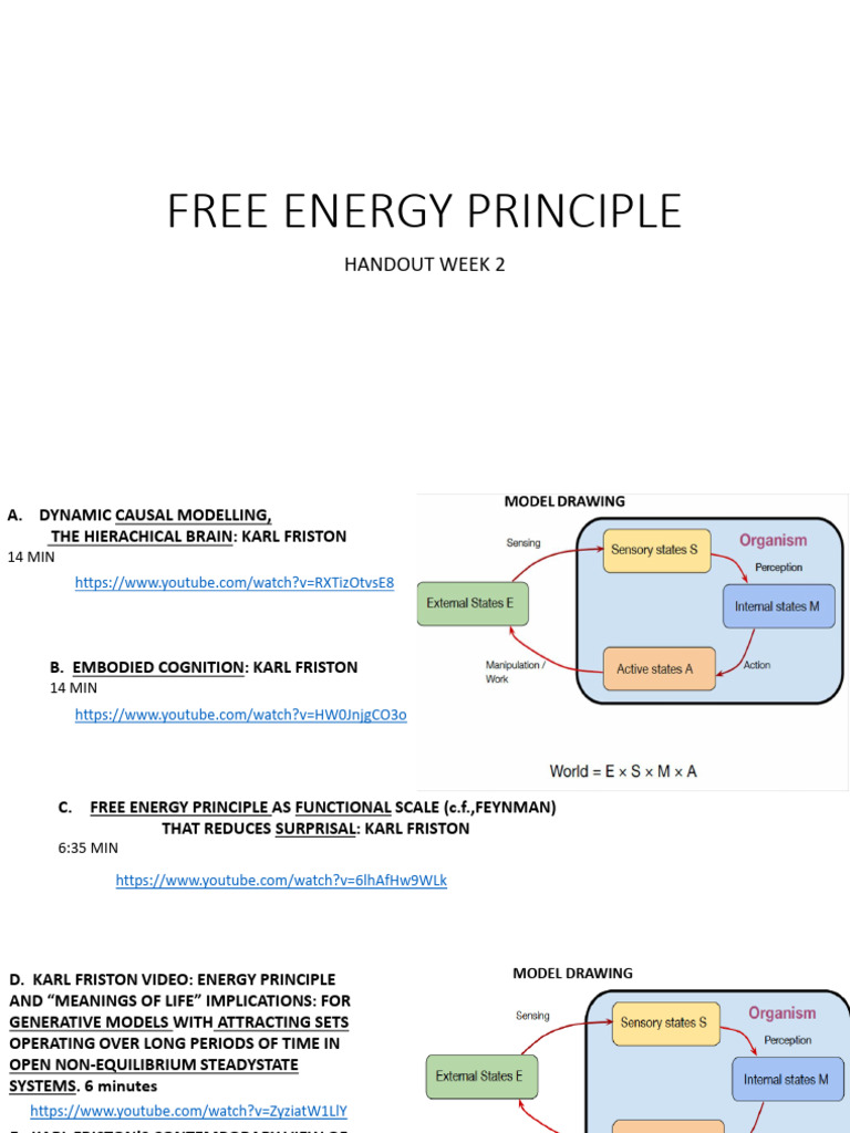 Free Energy Principles and Best Practice | PDF | Neuroscience ...