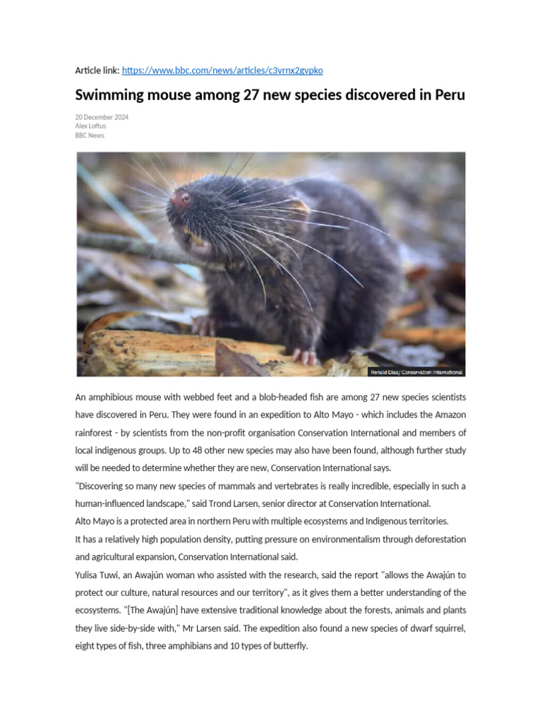 Article BBC Swimming Mouse | PDF | Amphibian | Squirrel