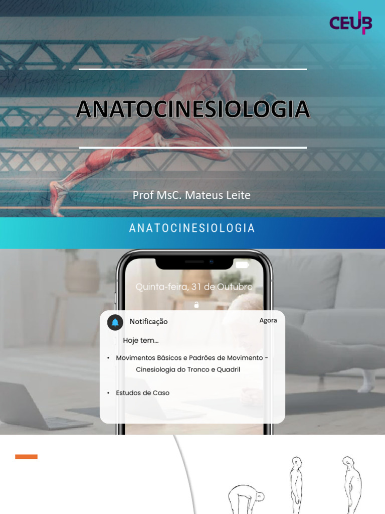 Aula 11- Tronco Posterior e Quadril | PDF | Pélvis | Coluna vertebral