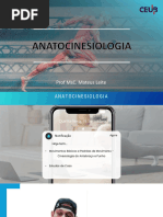 Aula 6 Ossos, Músculos, Inervação e Vascularização Do Punho e Mão | PDF ...