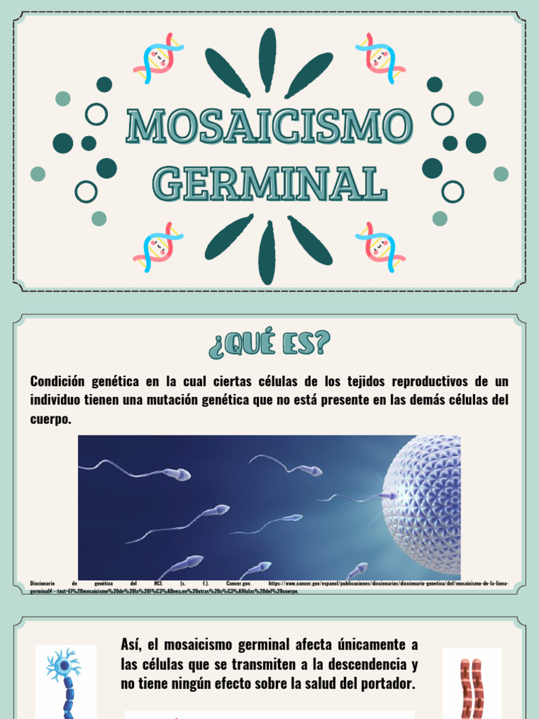 Mosaicismo Germinal: Definición y Proceso | PDF | Hemofilia ...