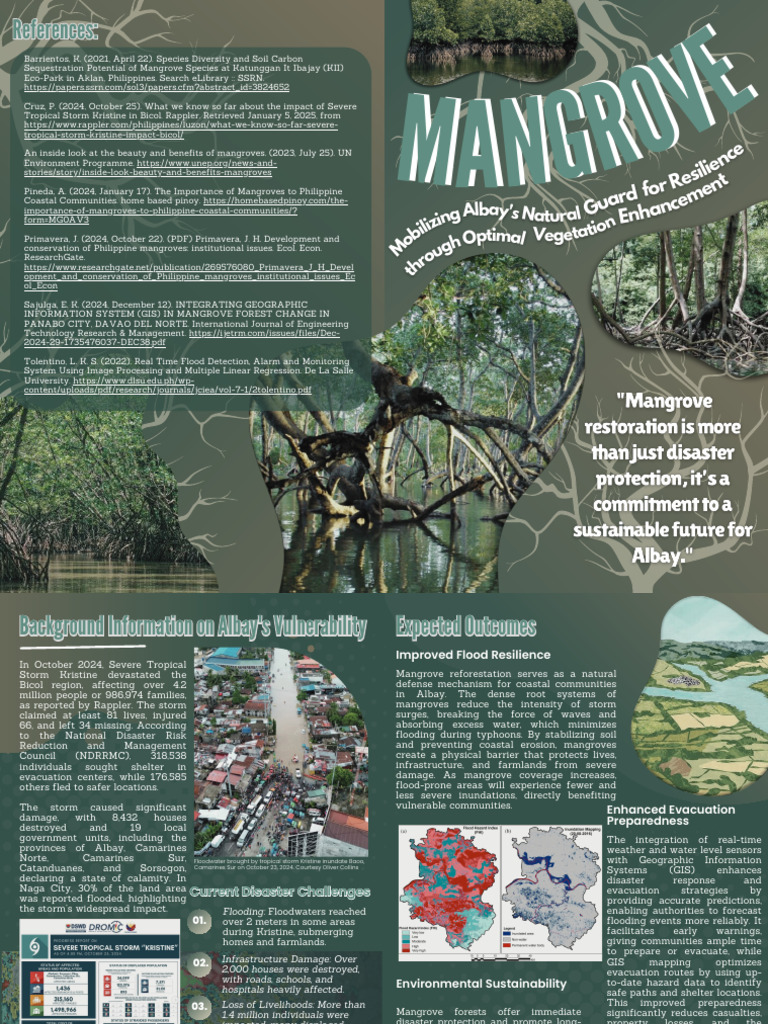 Mangrove Bi-Fold Brochure | PDF | Mangrove | Flood