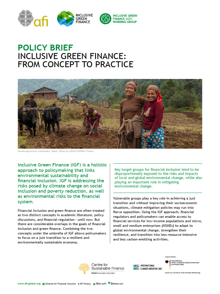 Inclusive Green Finance - From Concept to Practice AFI 2020 | PDF ...