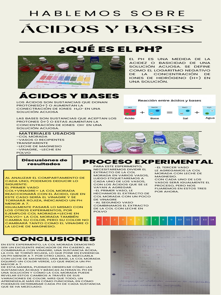Actividad experimental - Ácidos y Bases | PDF | Ph | Ácido