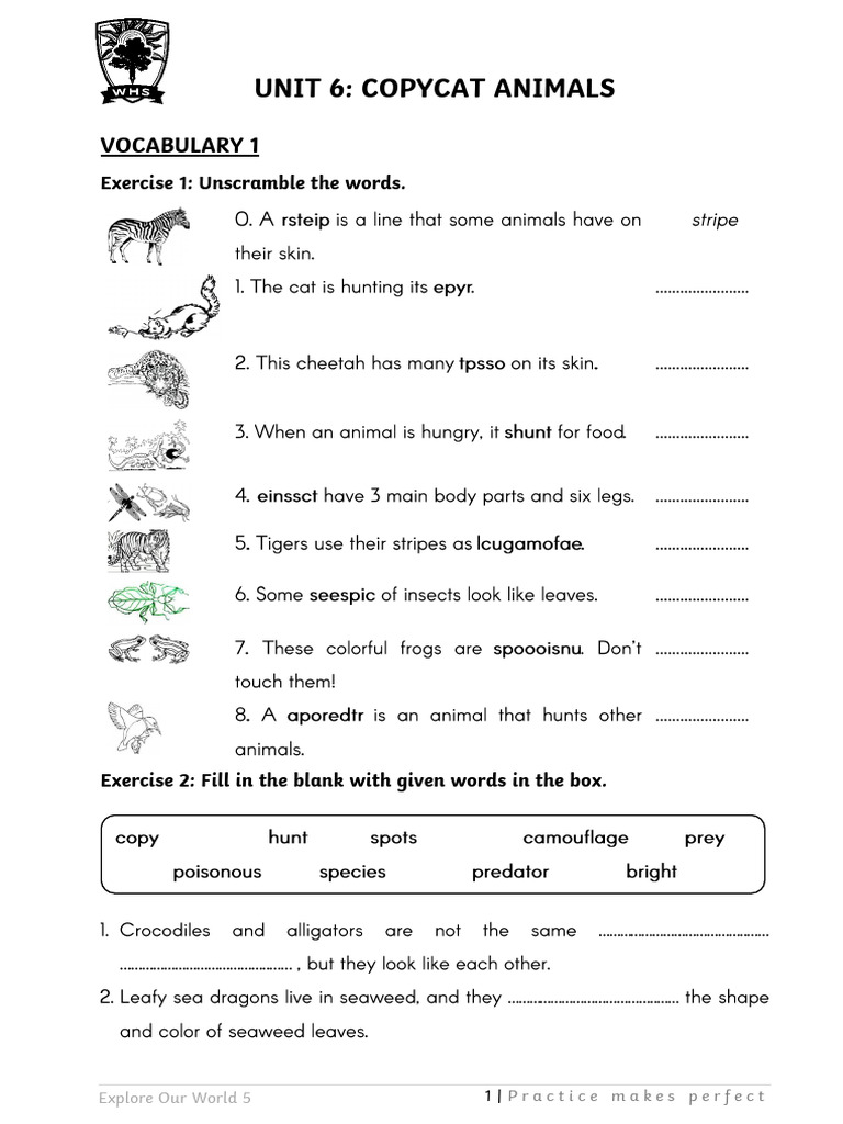 5C - Workbook - UNIT 6-8 Checked | PDF | Mars | Life On Mars