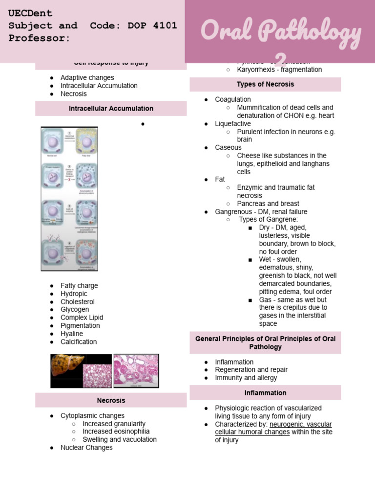 Oral pathology | PDF | Inflammation | Immune System