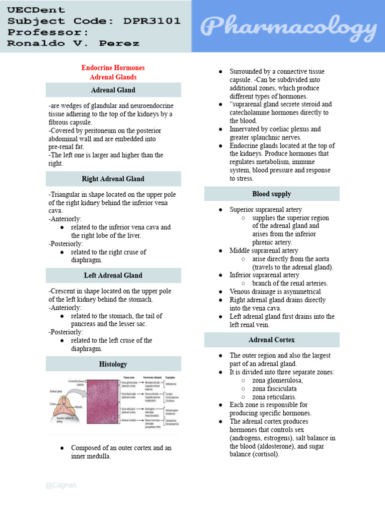 Endocrine Hormones Pdf Adrenal Gland Ovary