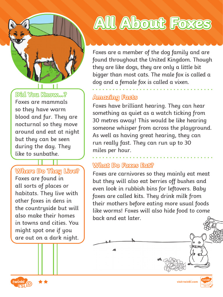 Fox Reading Comprehension | PDF | Fox | Mammals