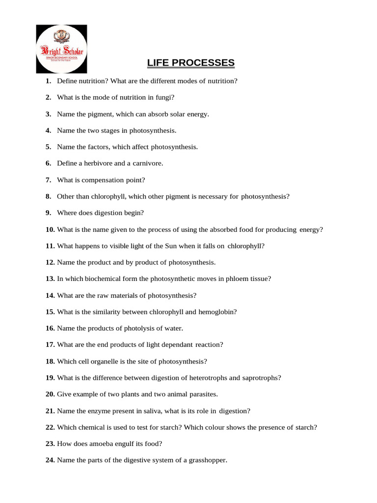 Understanding Life Processes in Biology | PDF | Chloroplast ...