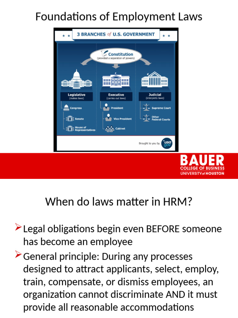 Understanding Employment Law Basics | PDF | Sexual Harassment | At Will ...