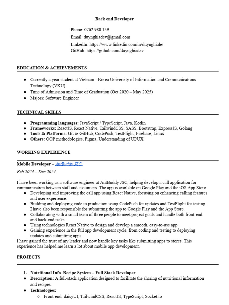 Developer Portfolio Overview | PDF | Mobile App | Model–View–Controller