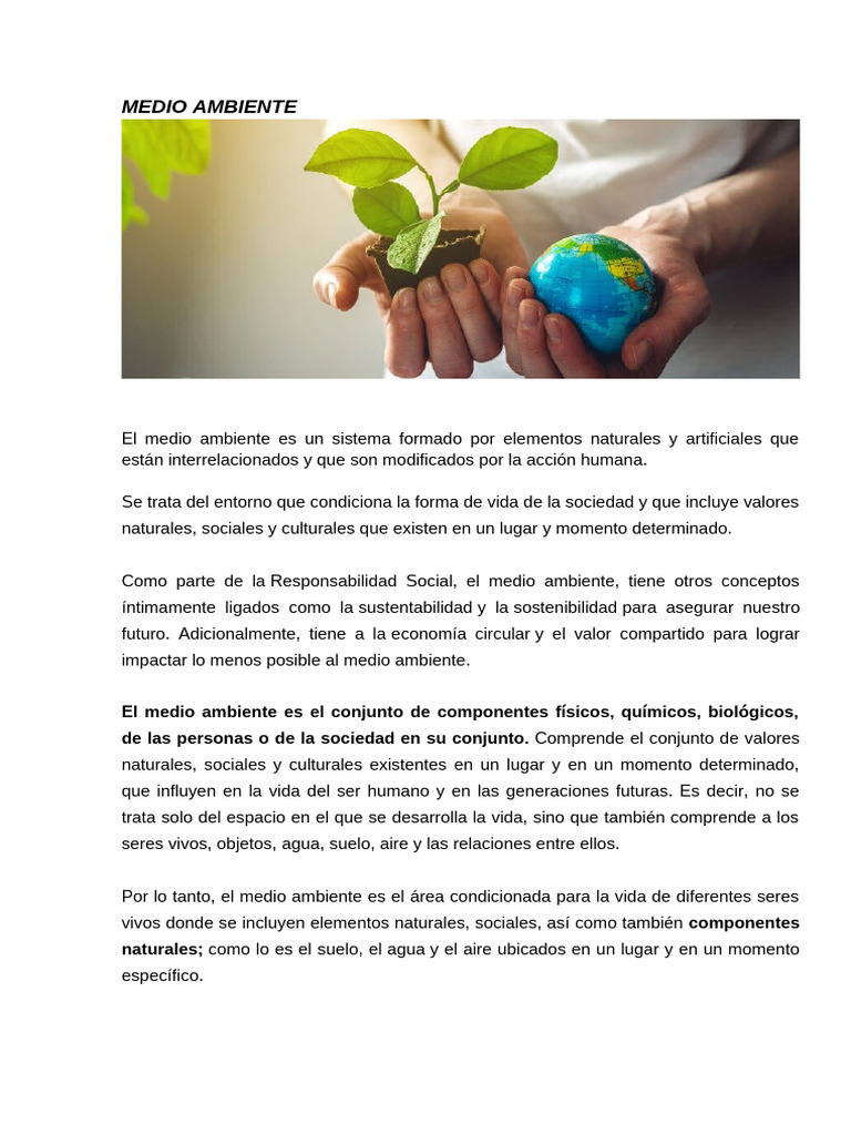 Medio Ambiente Clase 2 - Practico 1 3 | PDF | Entorno natural ...
