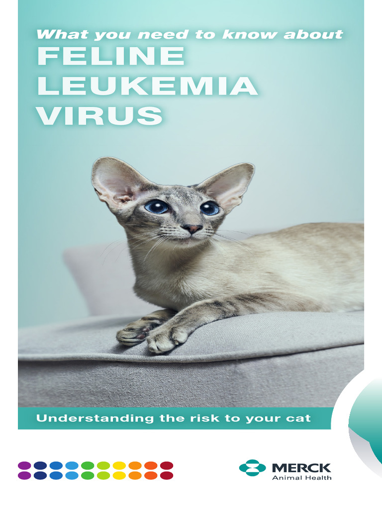 Feline Leukemia Virus Brochure. | PDF | Cats | Infection