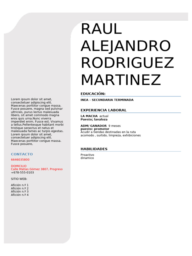 CV Raul Alejandro Rodriguez Martinez | PDF